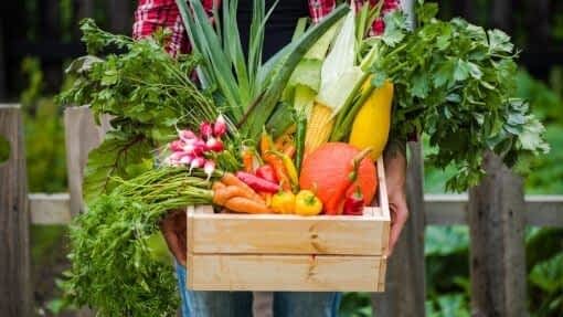 What is a Locavore and How to Become One | Locavores Local